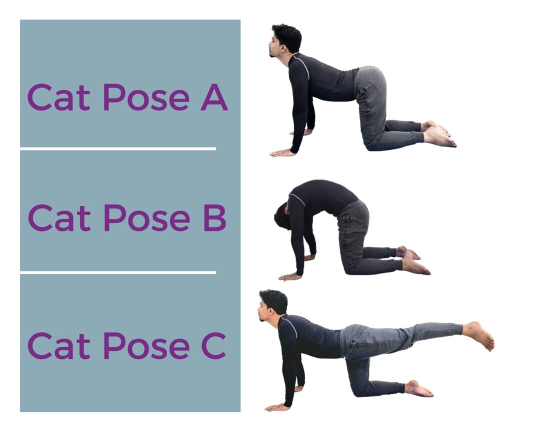 How to do Cat Pose|Its variations and Benefits in reducing Back pain ...